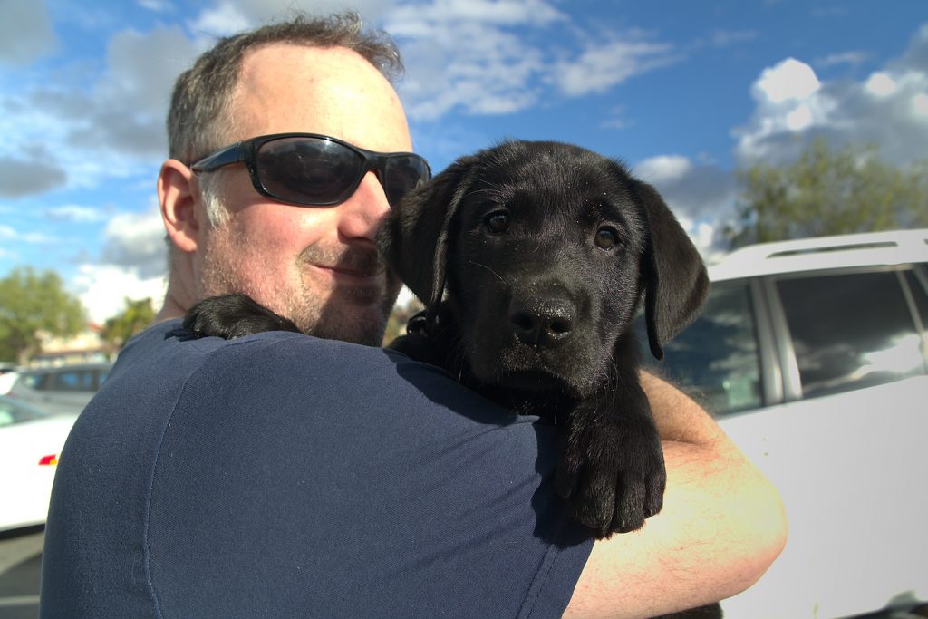 Macklin II – guidedogpups